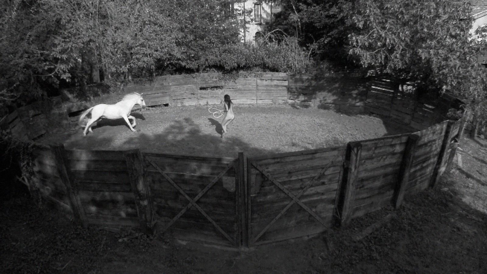 inside the circle di adrian paci a parigi – Trieste Contemporanea